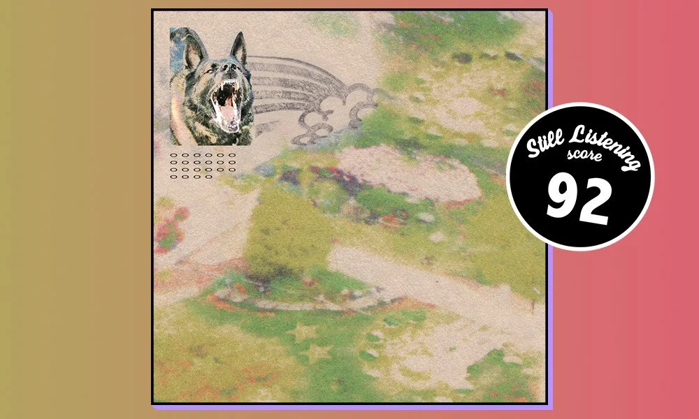 feeble little horse - Girl with Fish Review — Still Listening