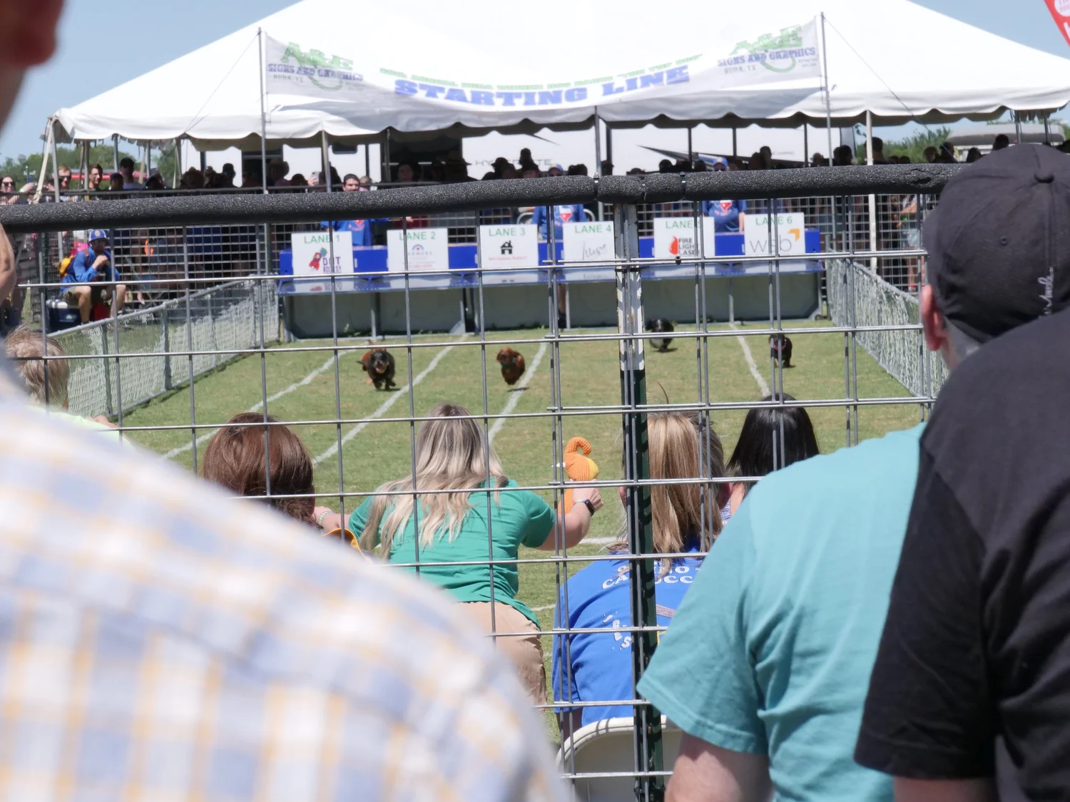 Upcoming Events — buda amphitheater