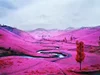 From Wood to Mosse: a brief history of infrared photography — BARNFLAKES
