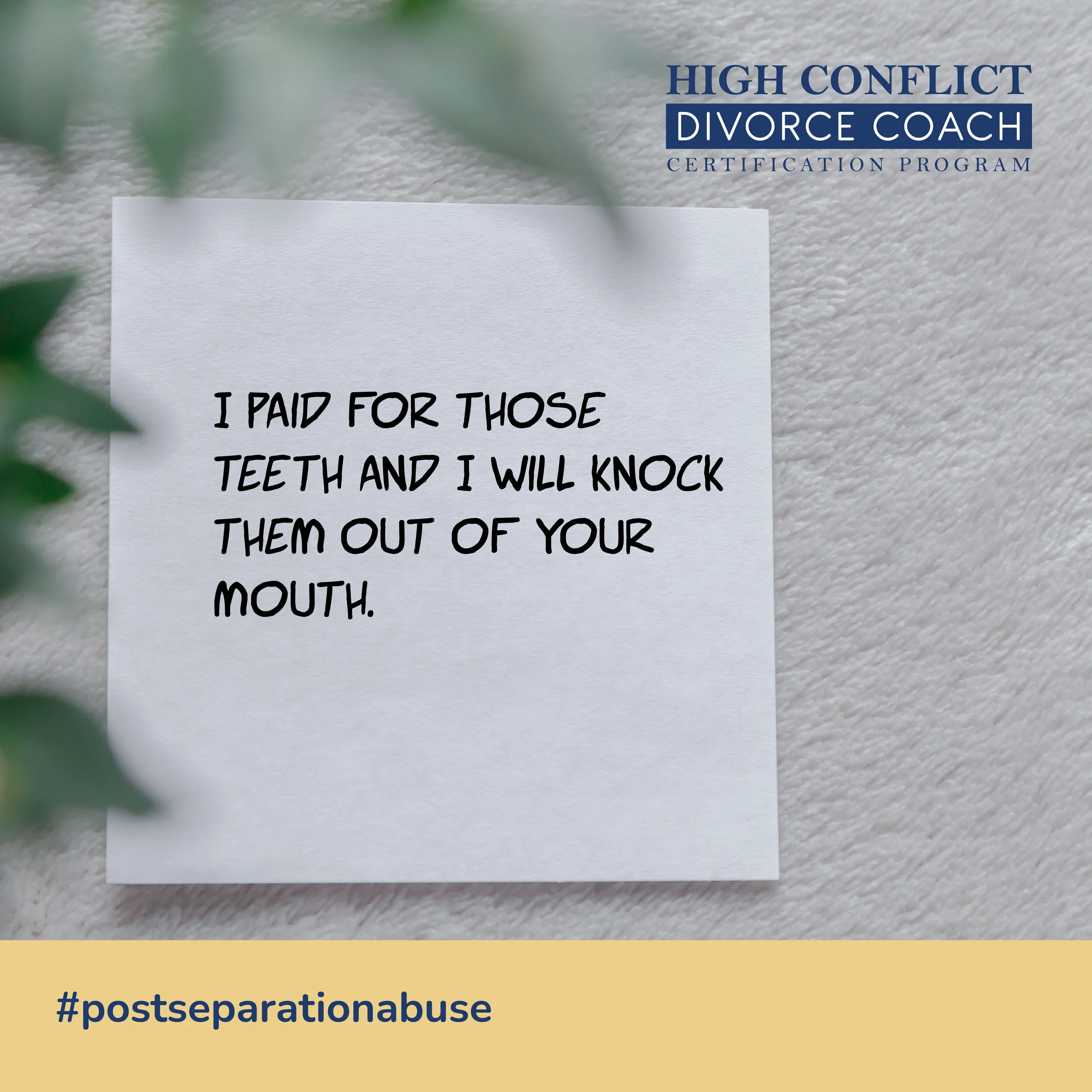 Post Separation Abuse Awareness Campaign — One Mom's Battle