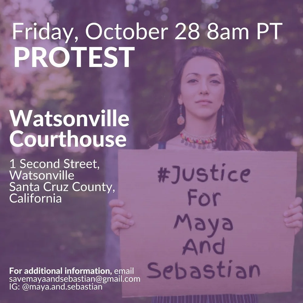 Reunification Camps: Maya and Sebastian Laing — One Mom's Battle