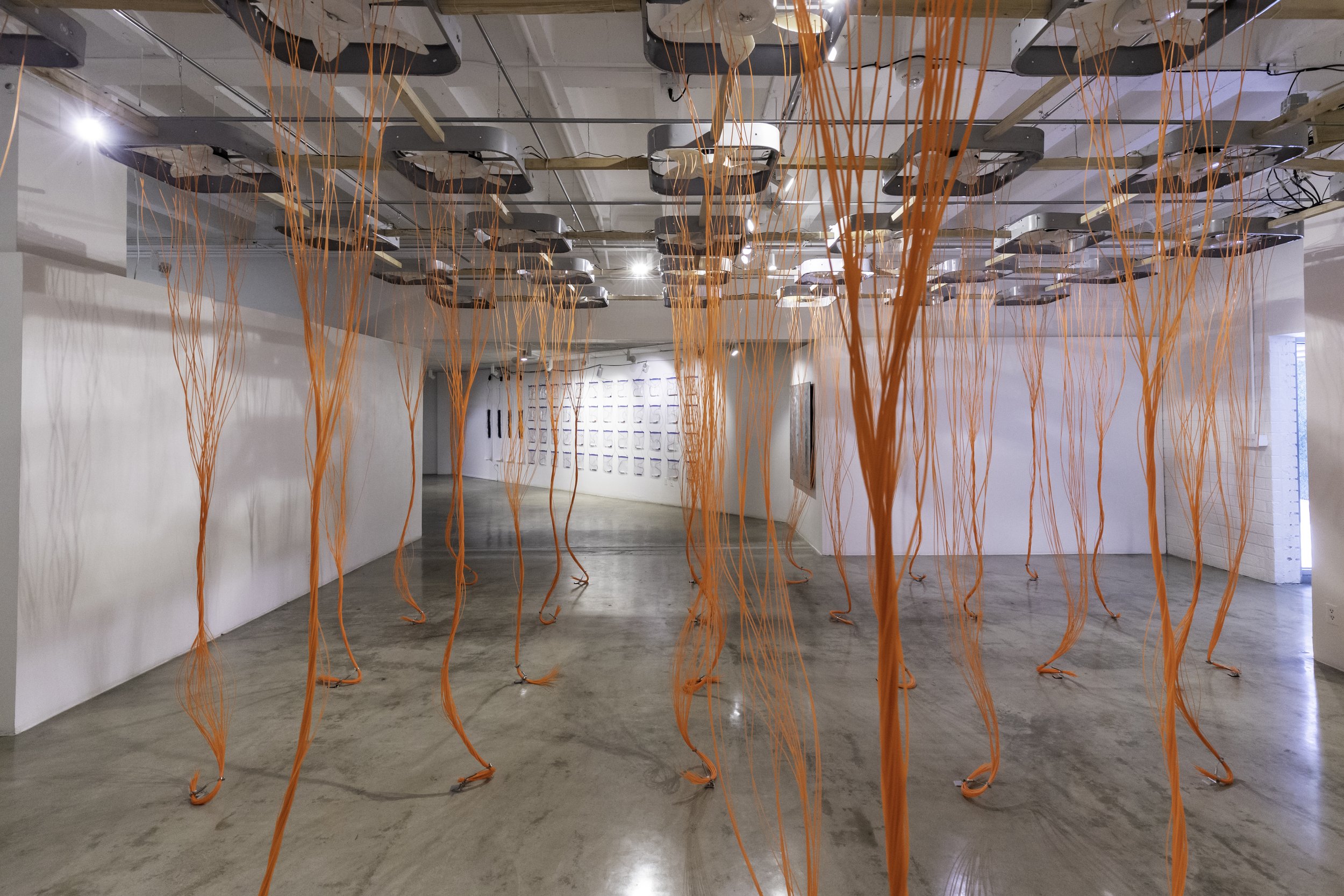 Replication — MIKA M. CHO