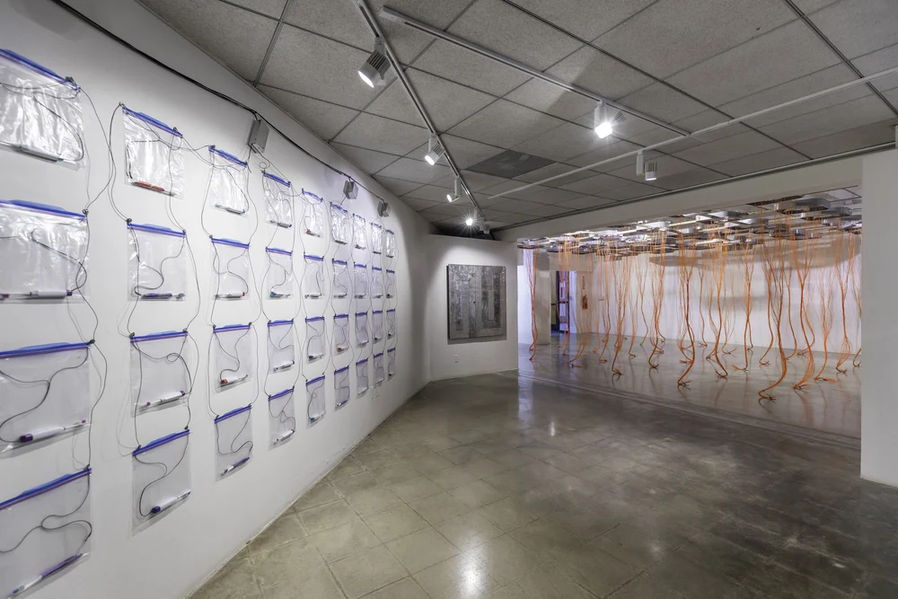 Replication — MIKA M. CHO