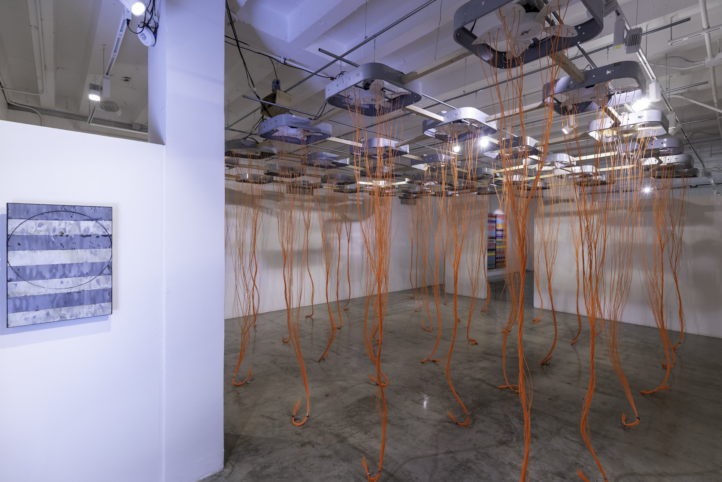 Replication — MIKA M. CHO