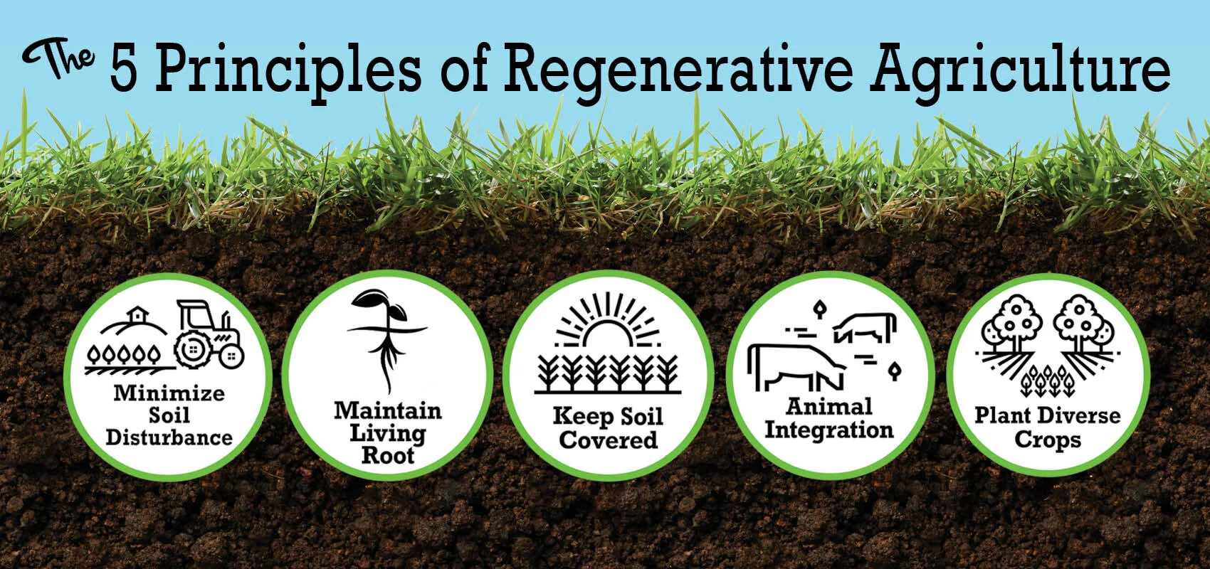 What is Regenerative Agriculture? — USA Regenerative Agricultural ...