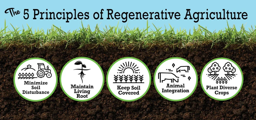 The Five Principles of Soil Health — USA Regenerative Agricultural ...