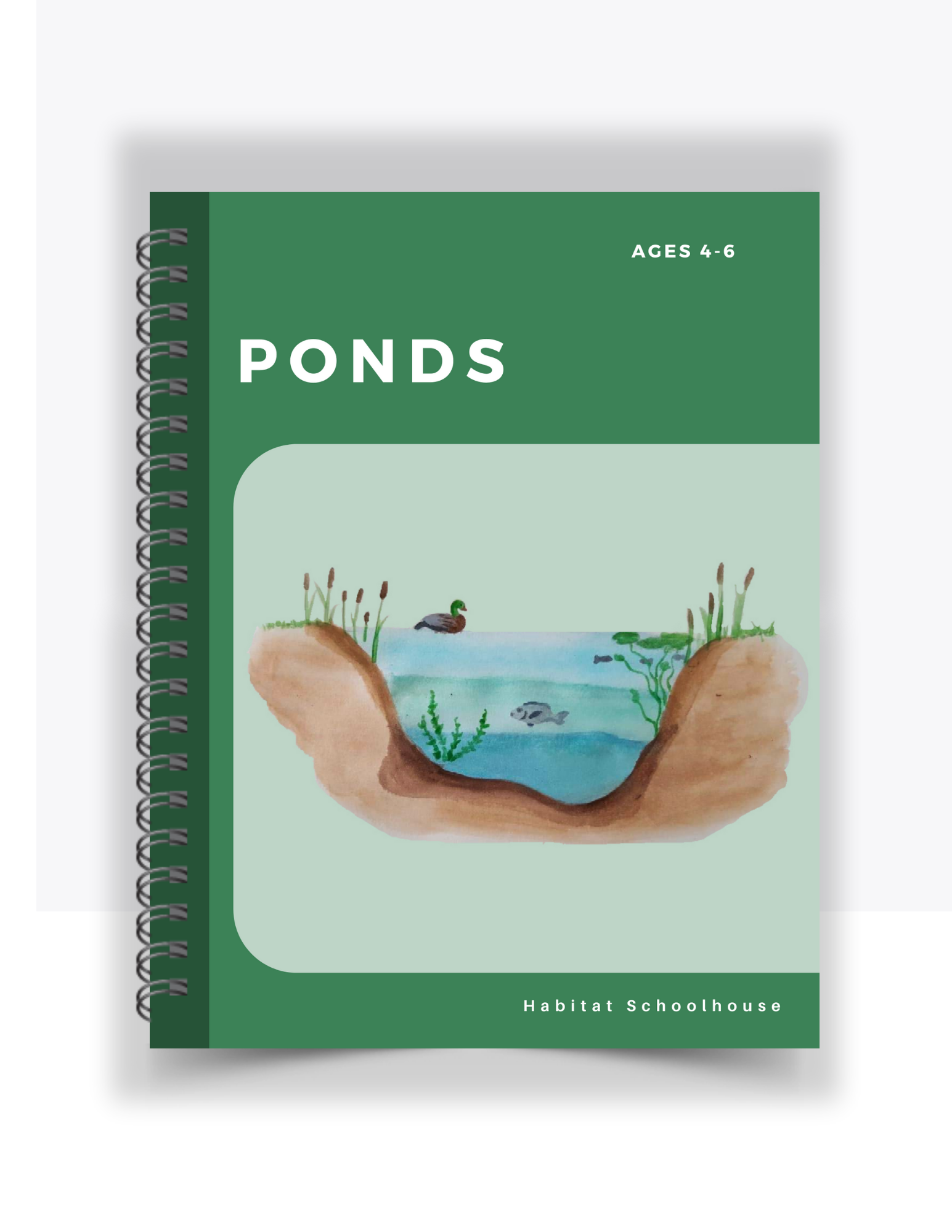 Ecology — Habitat Schoolhouse