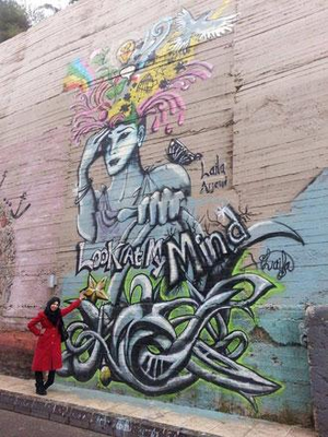 Art as a Form of Resistance: The role of Graffiti in Middle Eastern ...