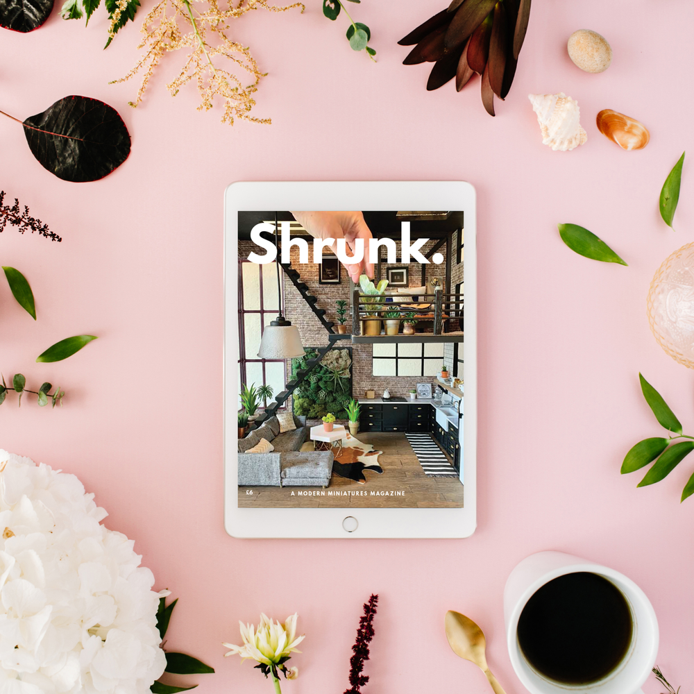 Buy Shrunk Magazine — Shrunk Magazine