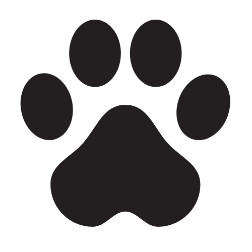 Top Rated Board & Train Programs in Columbus, OH — Capital Canine