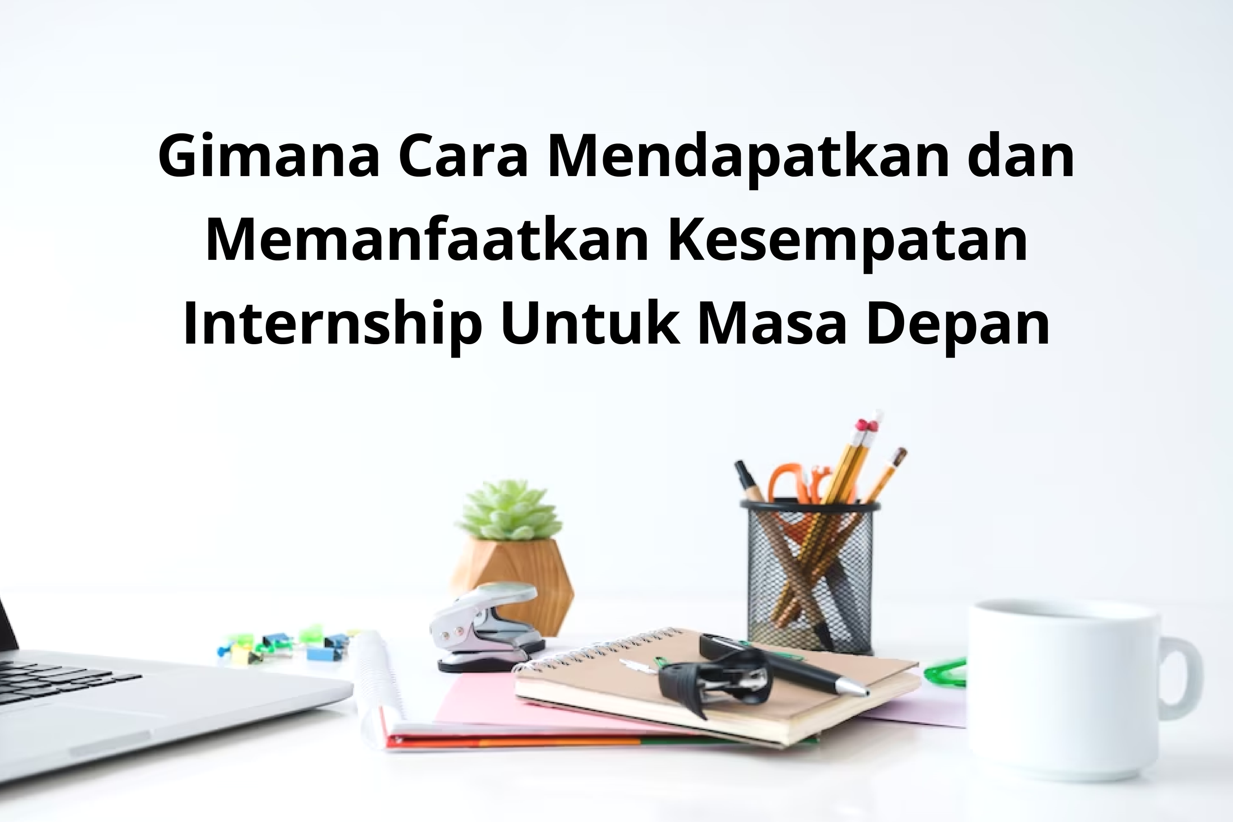 Gimana cara mendapatkan dan Memanfaatkan Kesempatan Internship untuk ...