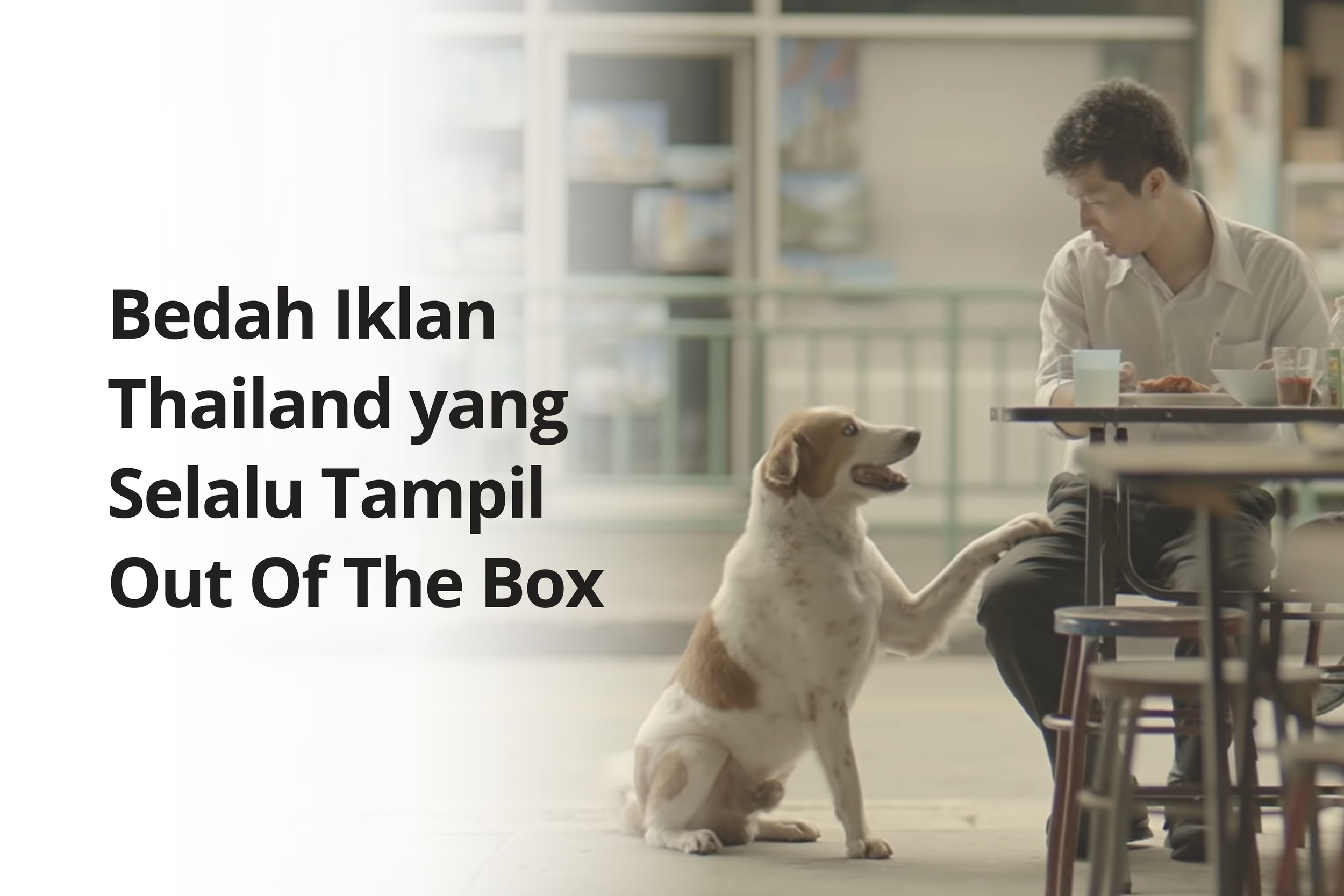 Bedah Iklan Thailand yang Selalu Tampil Out Of The Box— metaverse ...