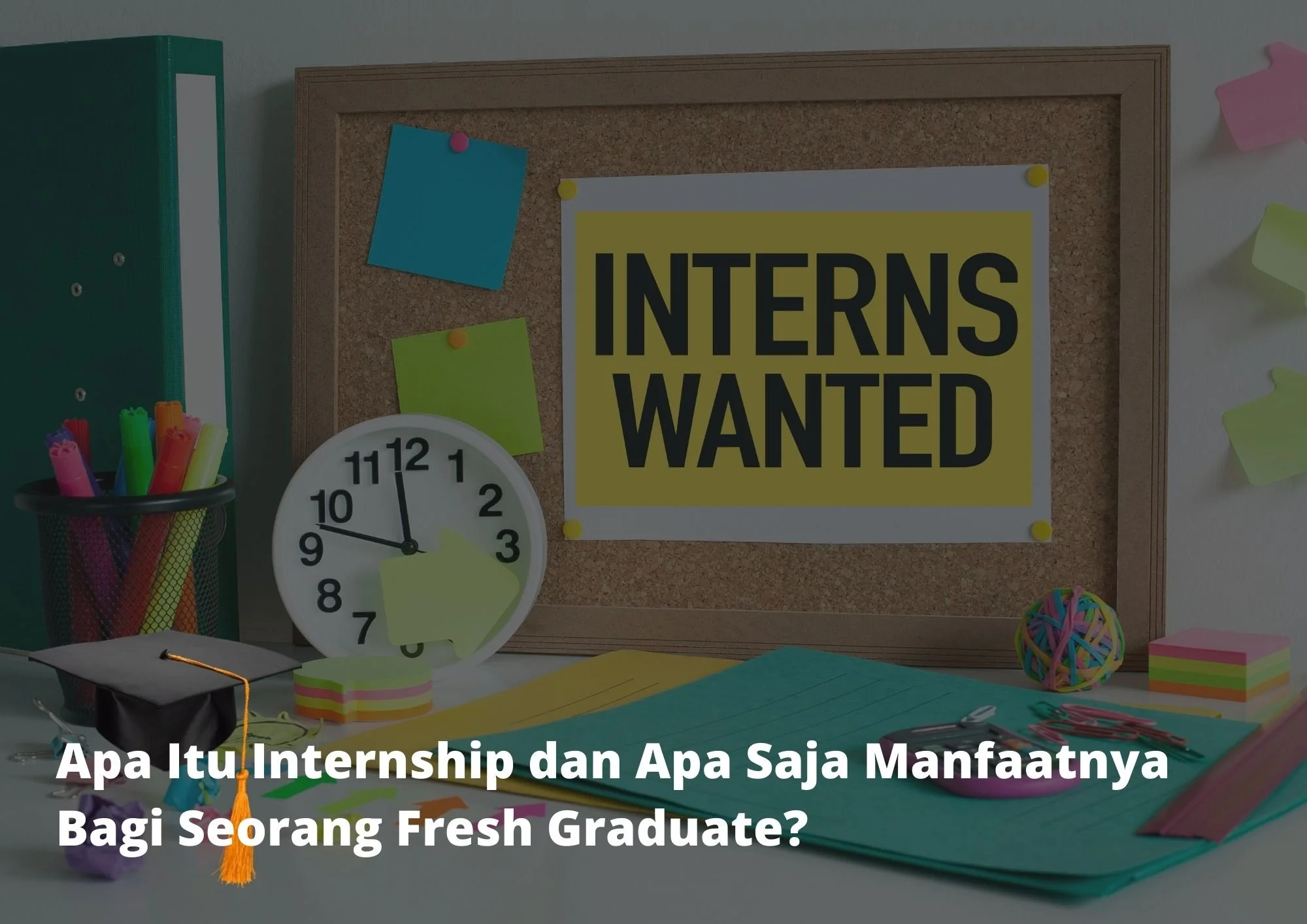 Apa Itu Internship dan Apa Saja Manfaatnya Bagi Seorang Fresh Graduate ...