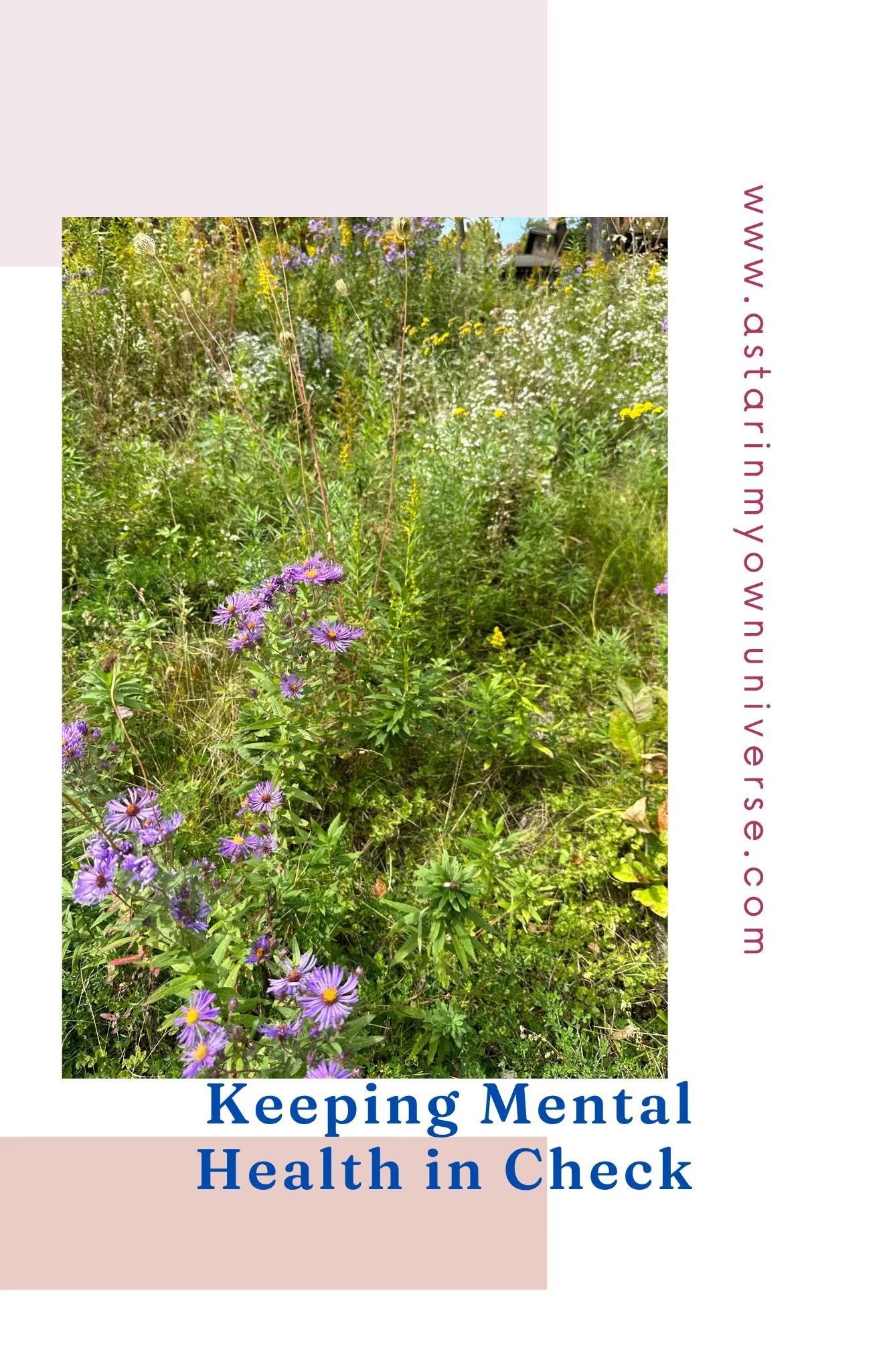 Keeping Mental Health in Check: 3 Practical Ways To Manage Your Mental ...
