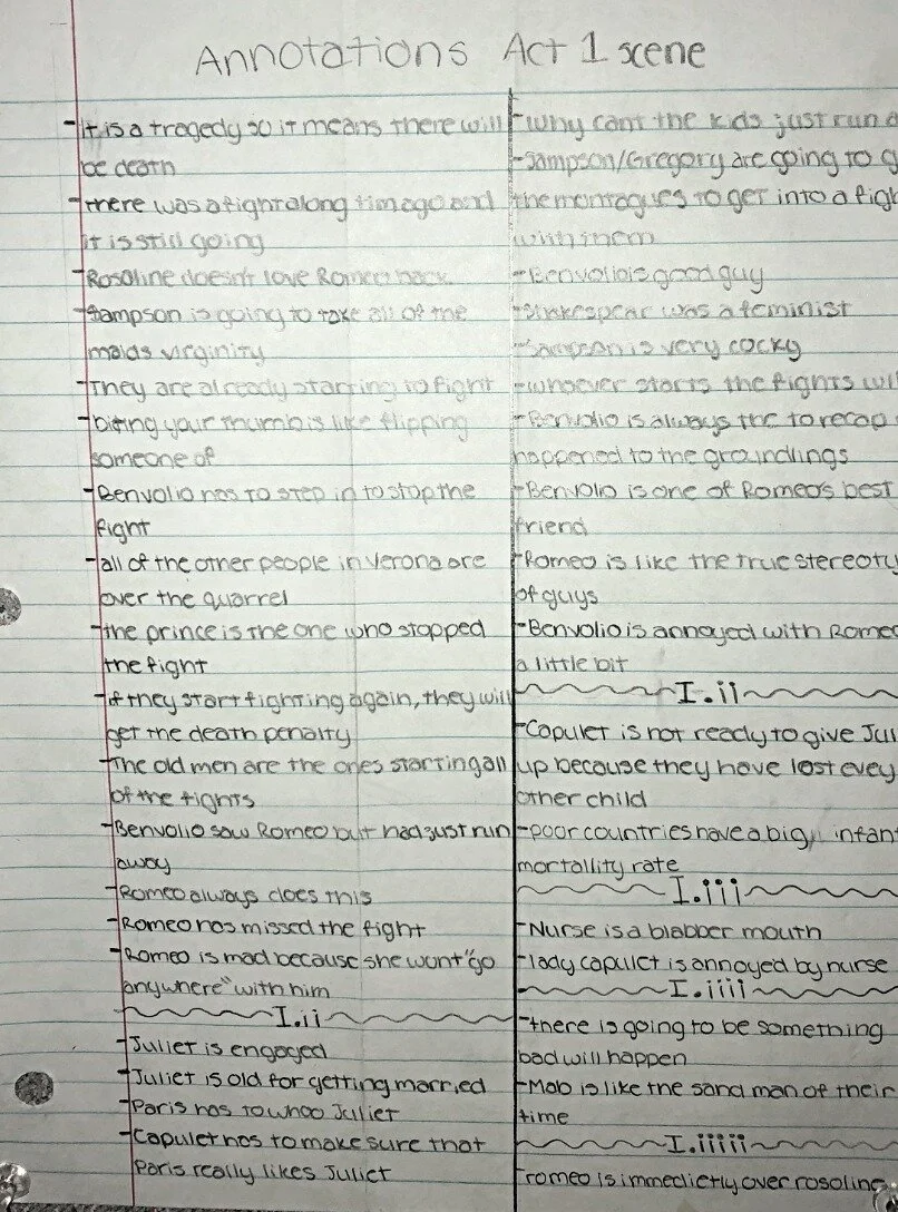 Annotate My Way, or Else. — Unlimited Teacher