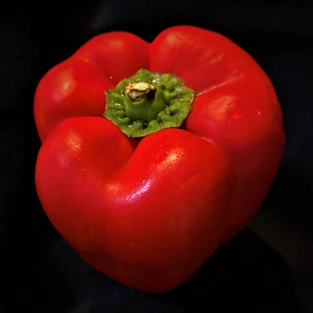 Red Pepper Mother by Cheryl Pappas — BIRCH BARK EDITING — BIRCH BARK ...