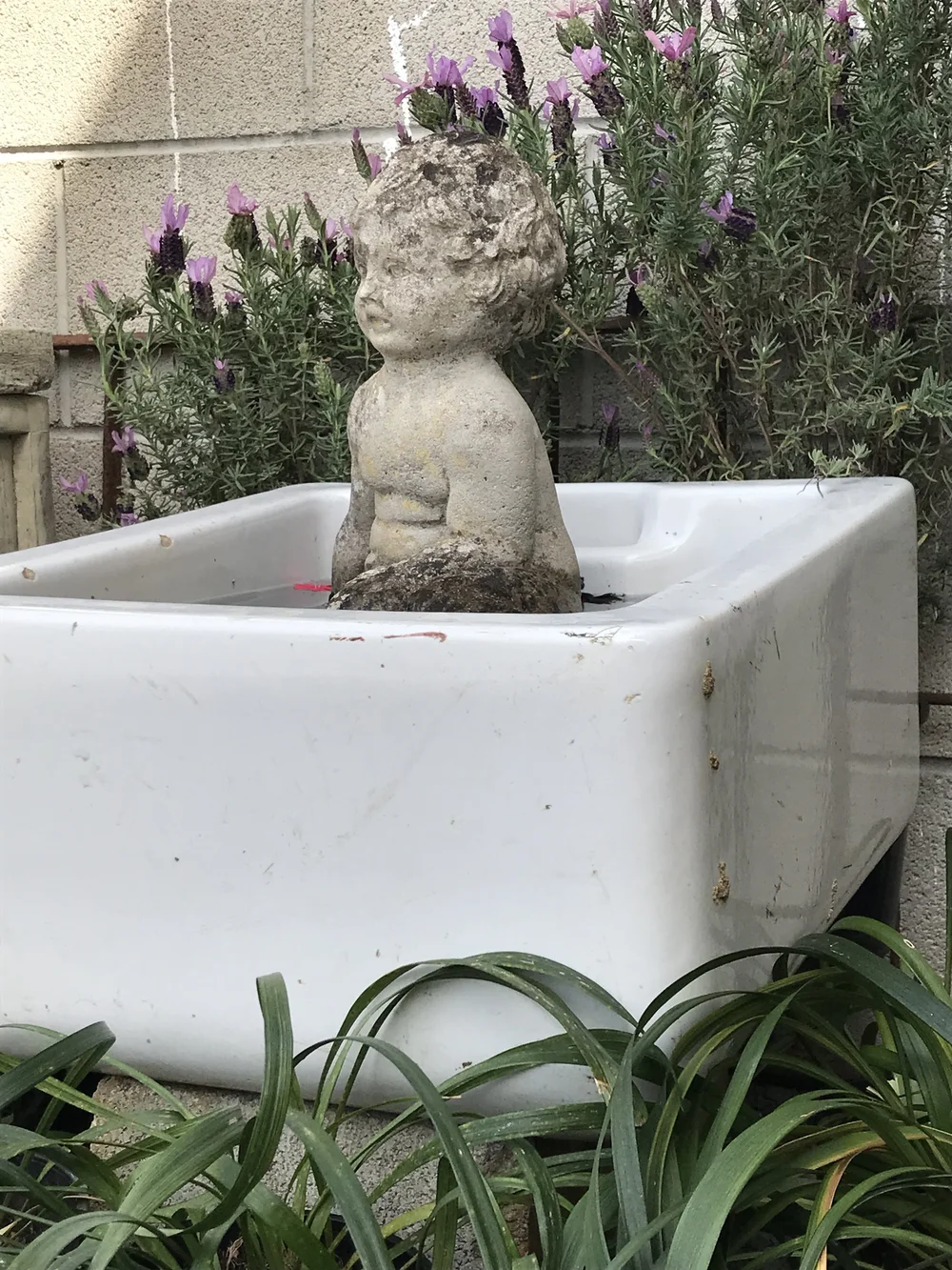 Butler Sink Garden Ideas | Fasci Garden