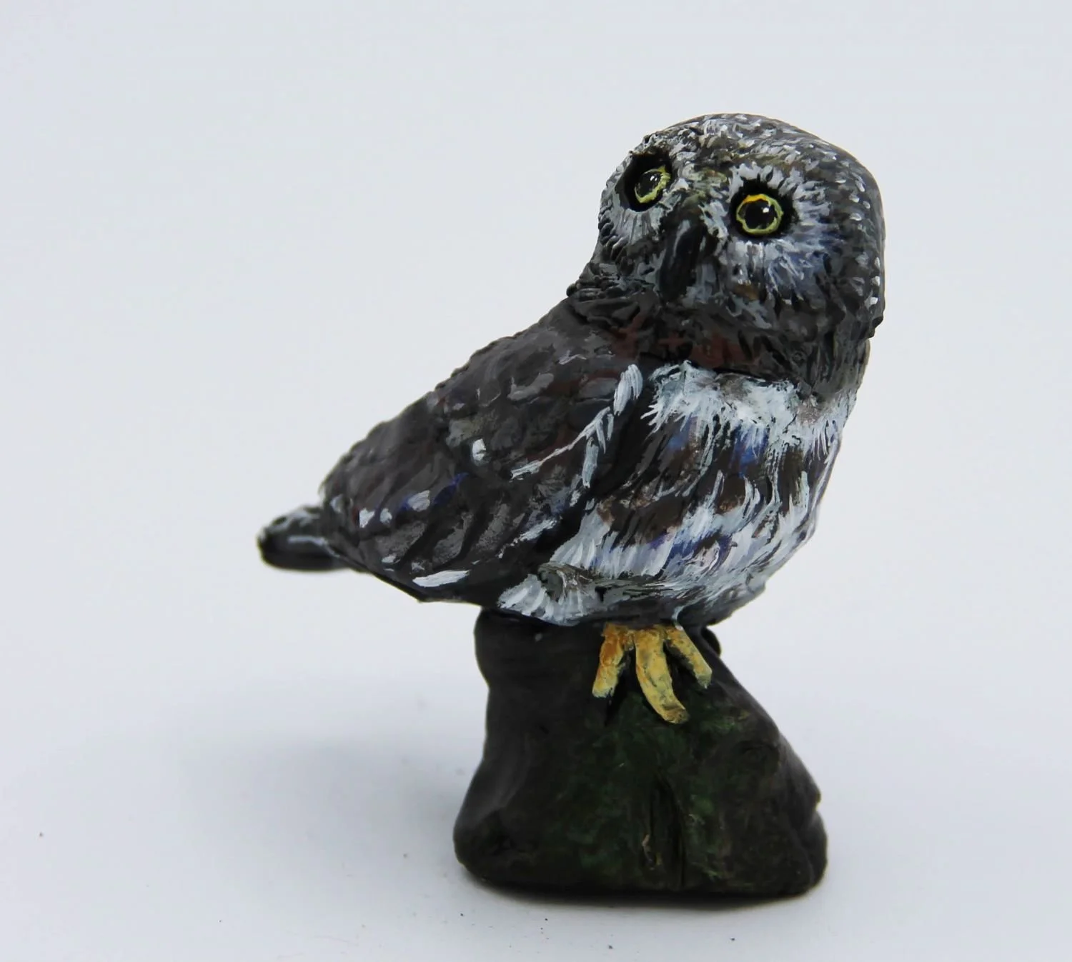 Willock & Sax Gallery