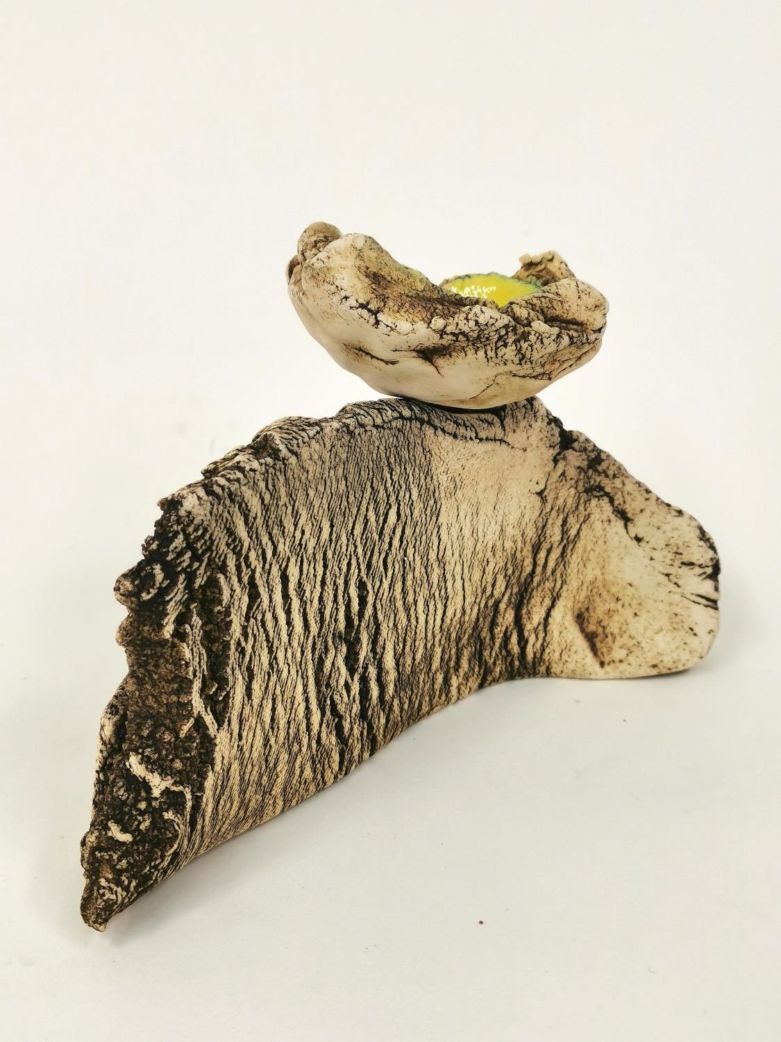 Willock & Sax Gallery