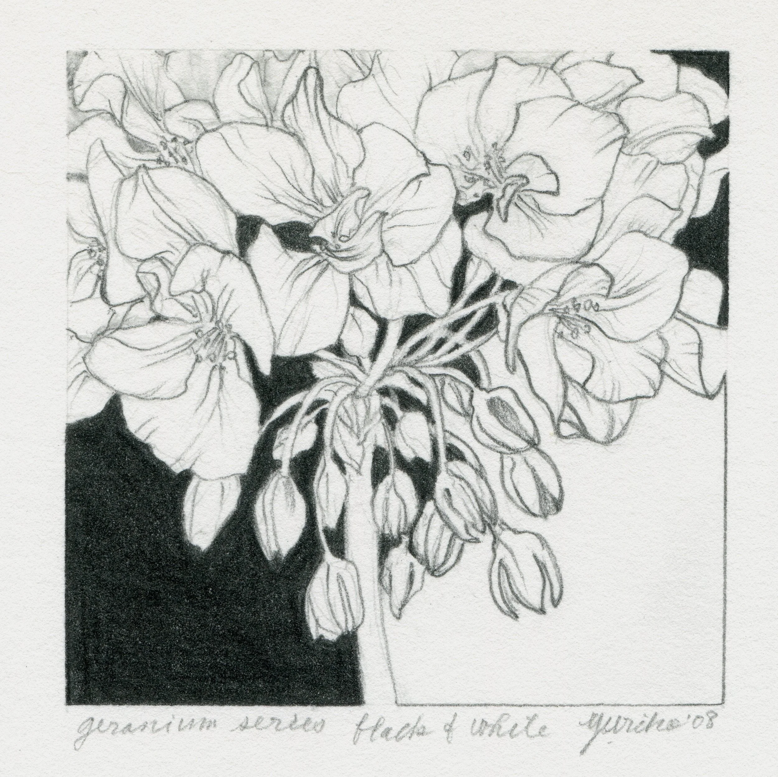 Yuriko Igarashi Kitamura — Willock & Sax Gallery