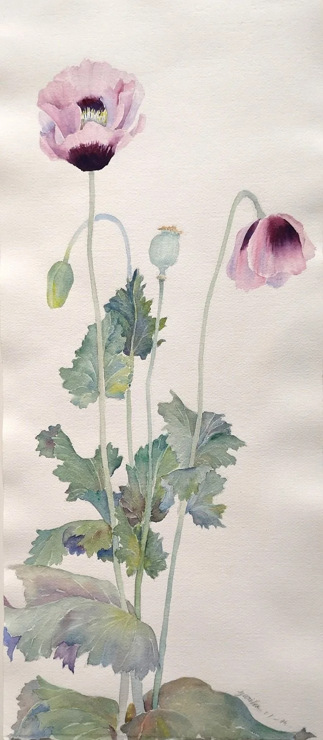 Yuriko Igarashi Kitamura — Willock & Sax Gallery