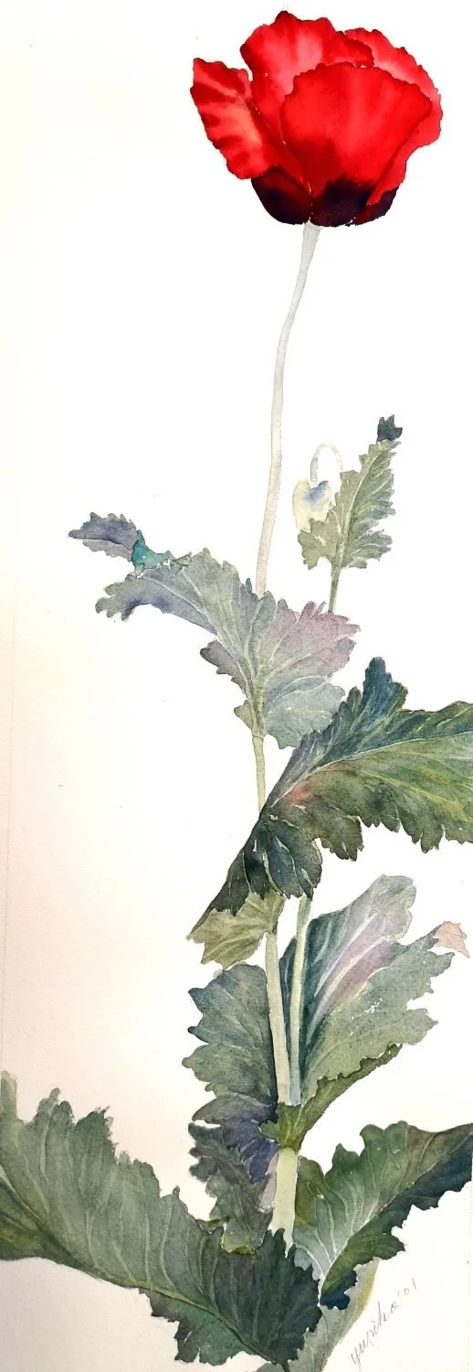 Yuriko Igarashi Kitamura — Willock & Sax Gallery