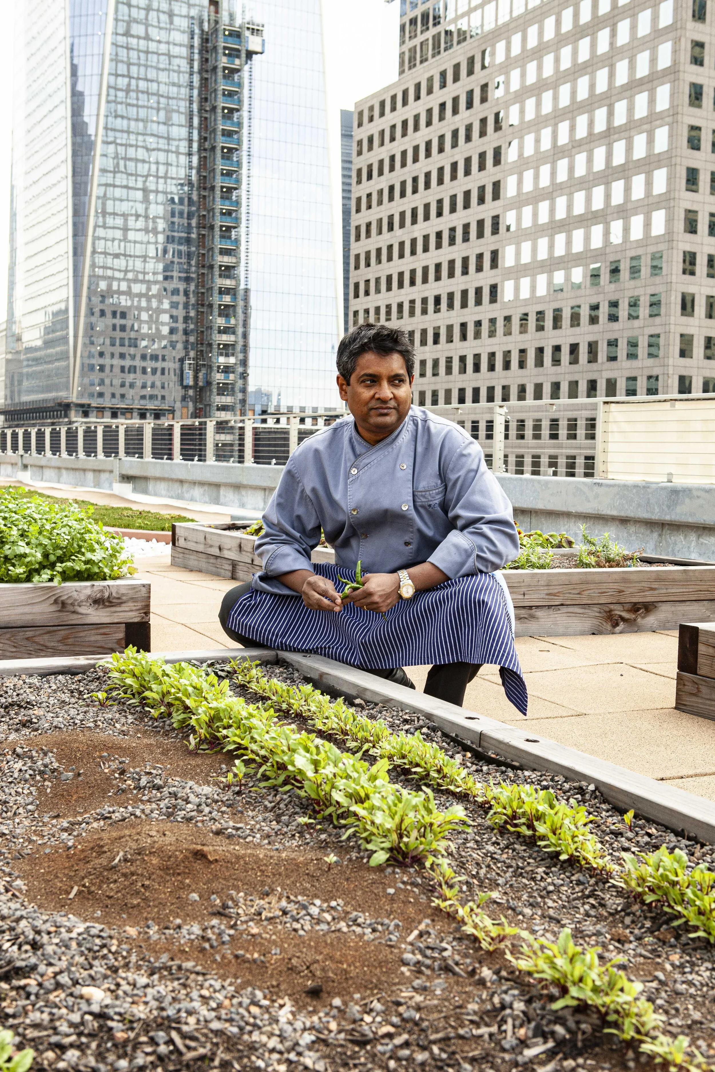 About Chef Floyd Cardoz — Cardoz Legacy