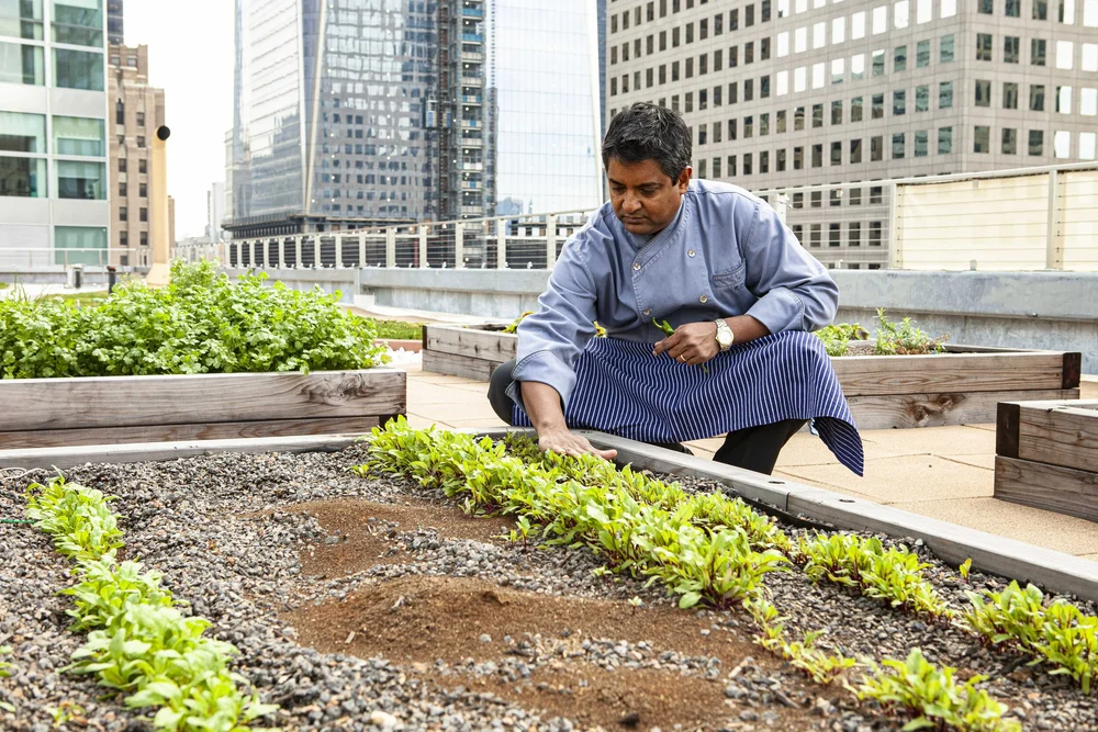 About Chef Floyd Cardoz — Cardoz Legacy