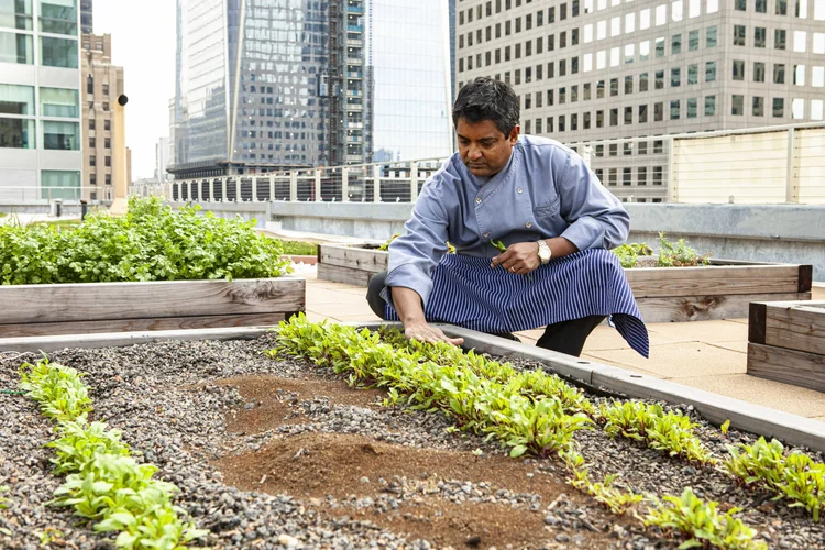 About Chef Floyd Cardoz — Cardoz Legacy