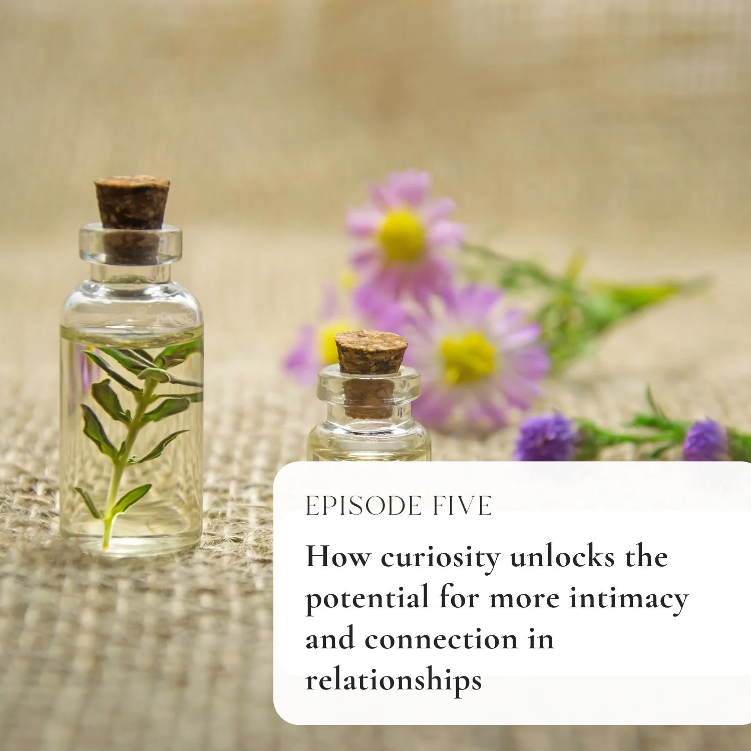 Alchemy of Love | Healing Relationship Trauma