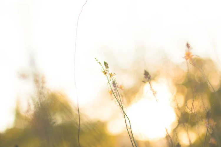 How to know if trauma is affecting your relationship right now ...
