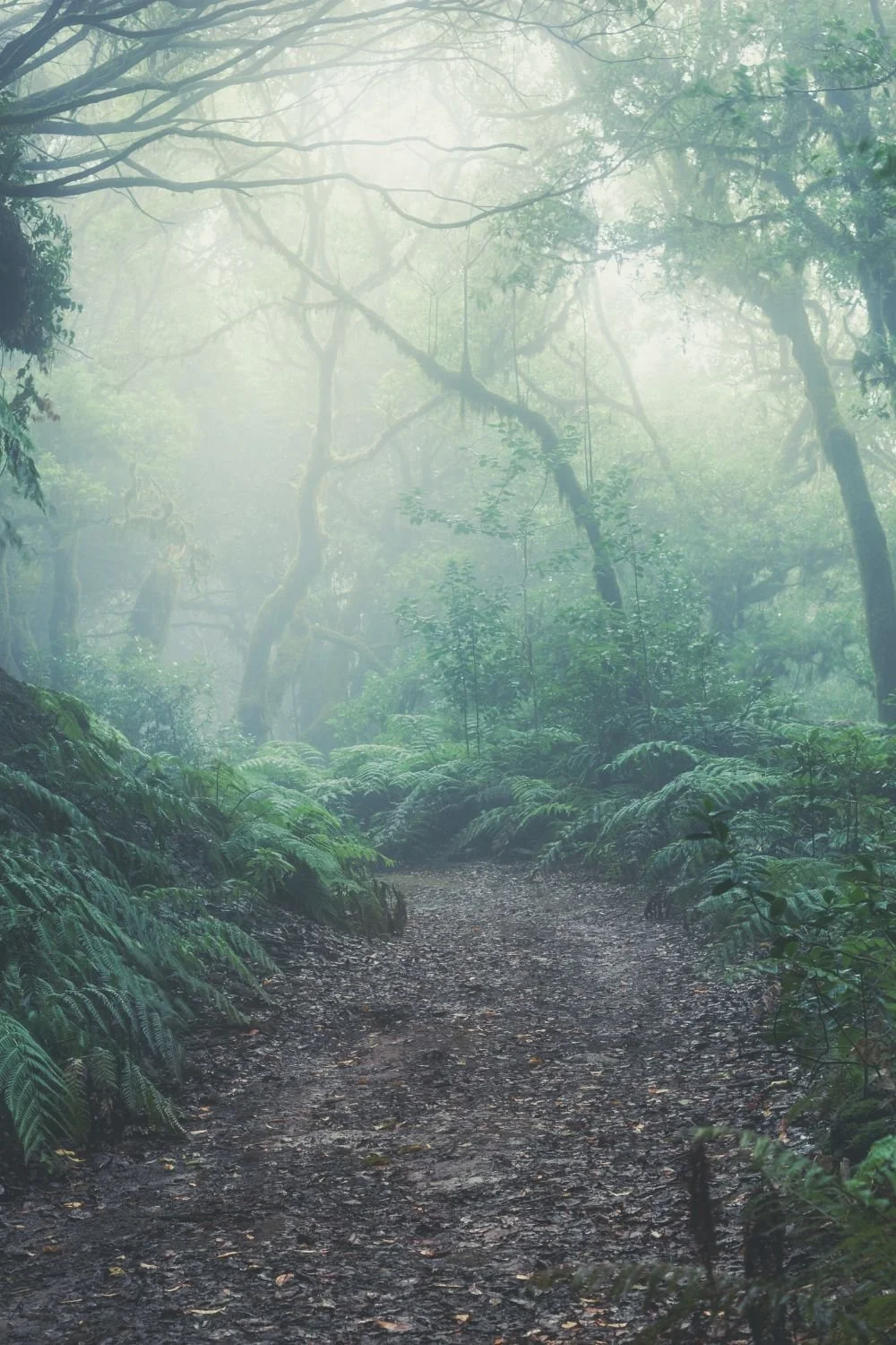 How to heal from past relationship trauma