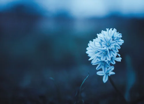 Trauma in Relationships: Why Healing Feels Hard—and How to Begin ...