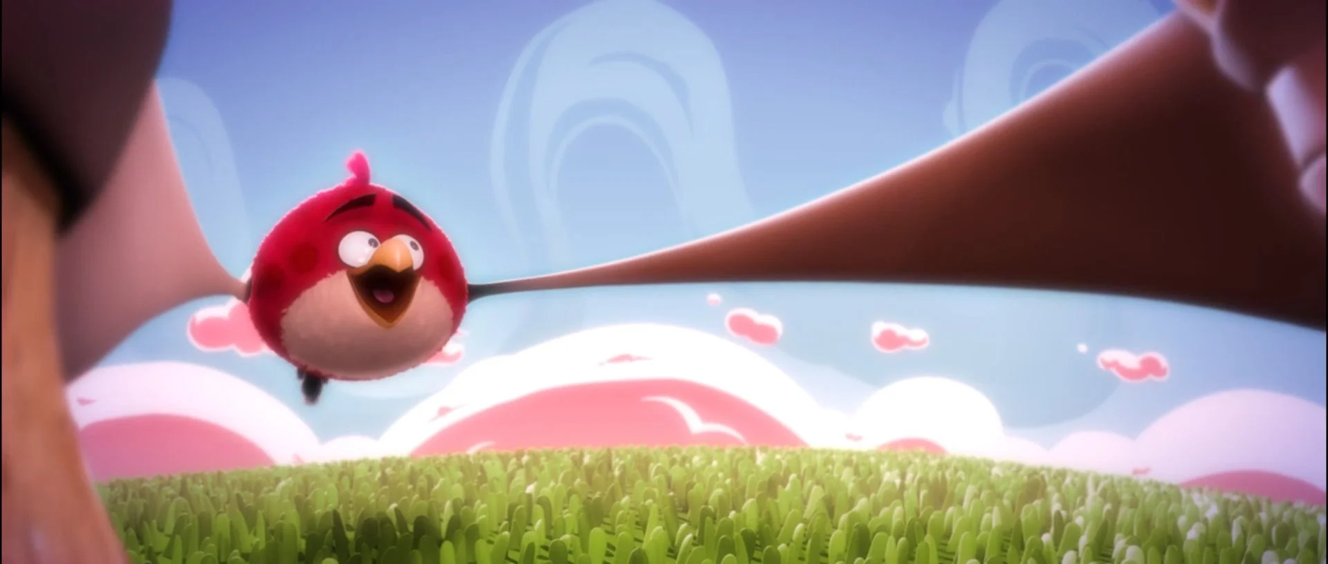 Angry Birds Babies | Squeeze | Squeeze Animation Studios