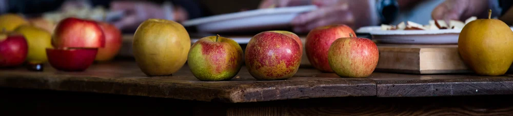 Scott Farm Orchard | Visit and Experience Today
