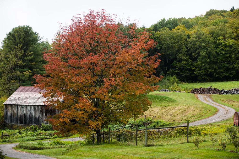 Directions | Explore and Visit Now — Scott Farm Orchard