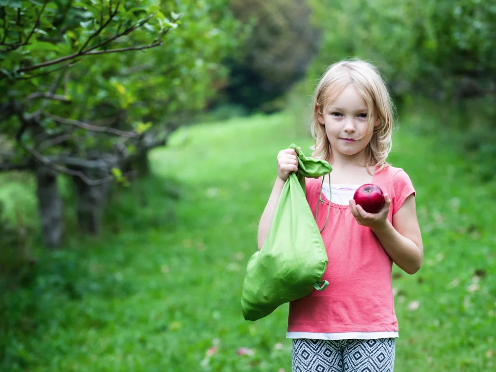 Scott Farm Orchard