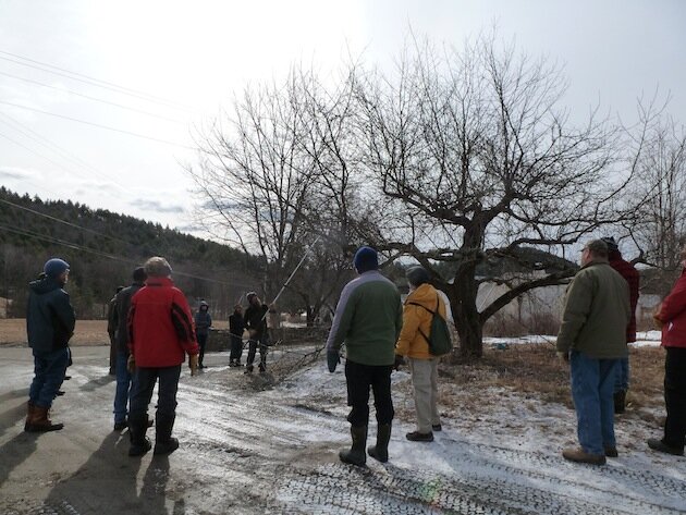 Heirloom Apple Day — Scott Farm Orchard