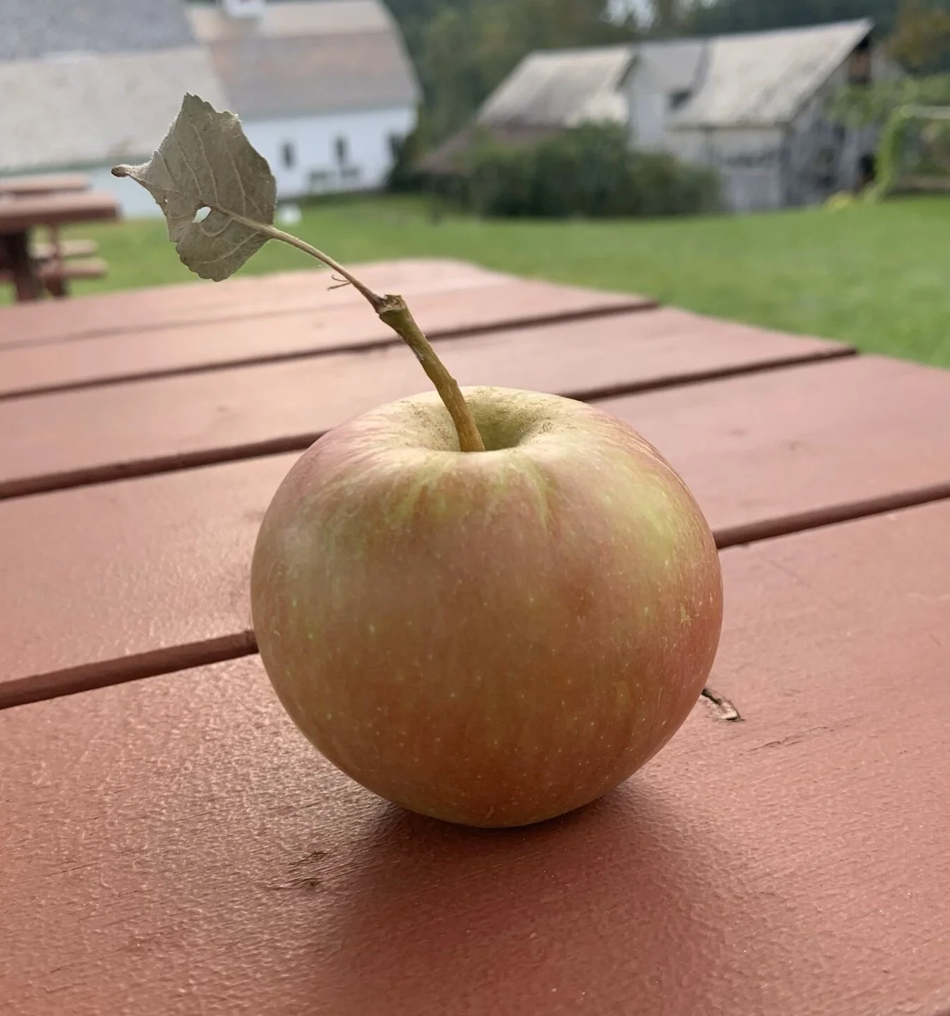 James Grieve — Scott Farm Orchard