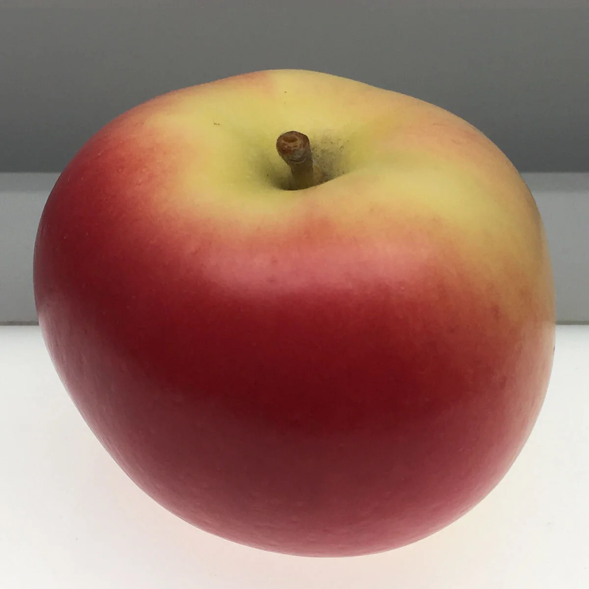 Maiden's Blush — Scott Farm Orchard