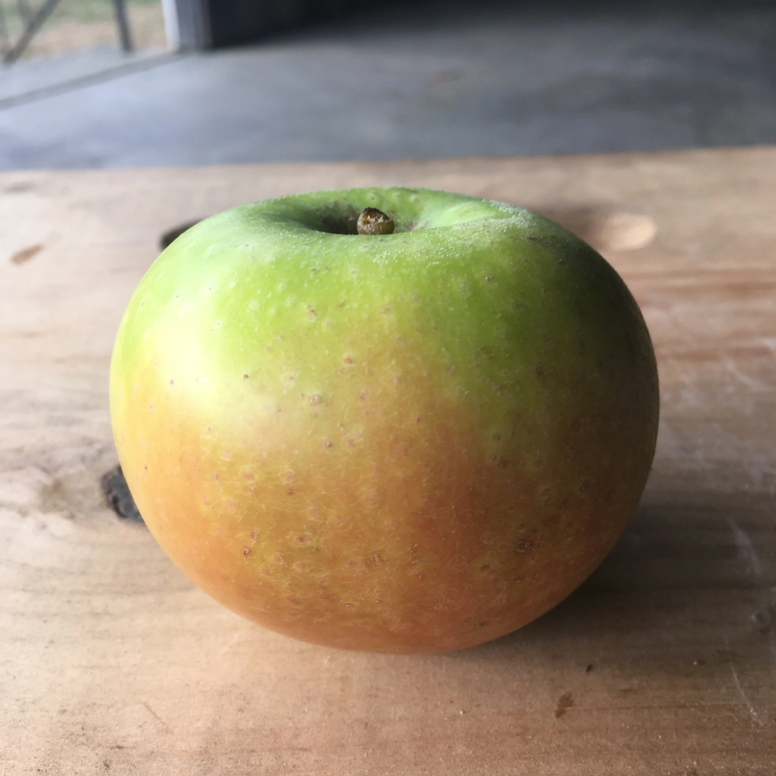 Reinette Clochard — Scott Farm Orchard