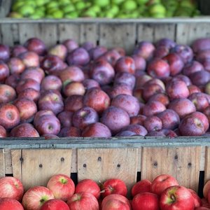 Scott Farm Orchard | Visit and Experience Today