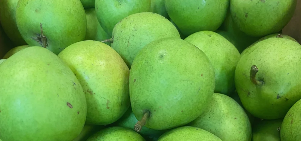 Fruit | Discover Fresh Fruits Today — Scott Farm Orchard
