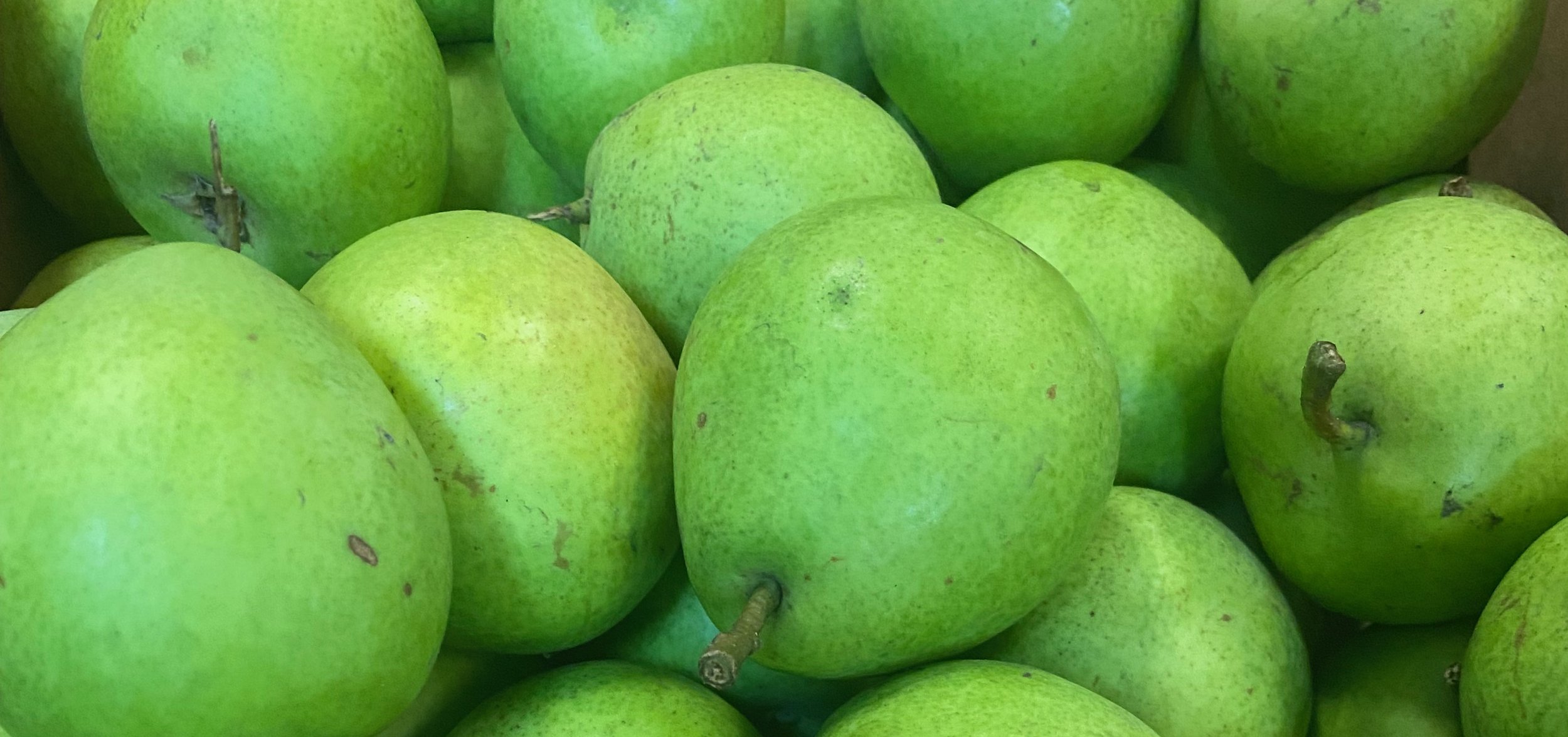 Fruit | Discover Fresh Fruits Today — Scott Farm Orchard