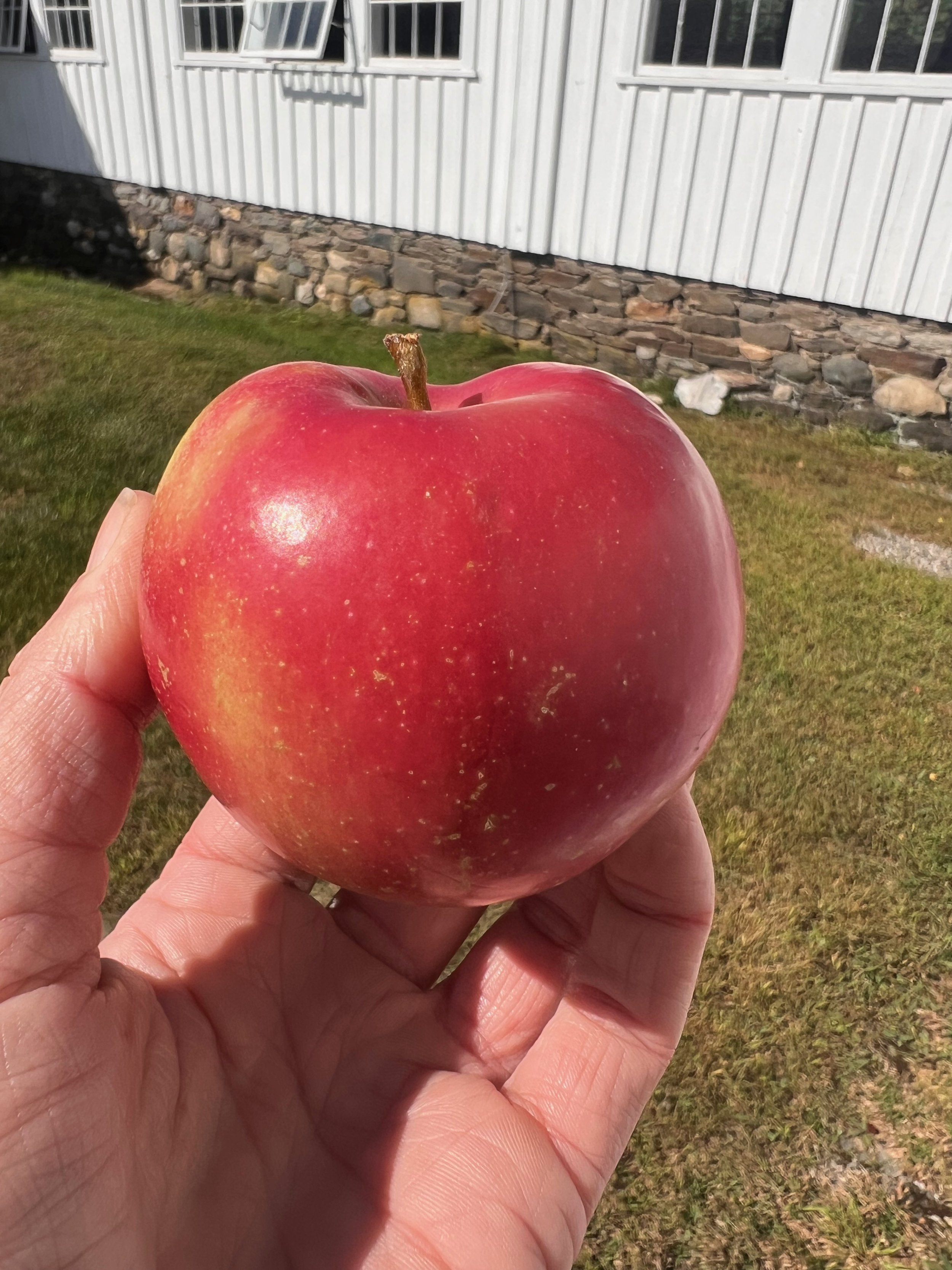 James Grieve — Scott Farm Orchard