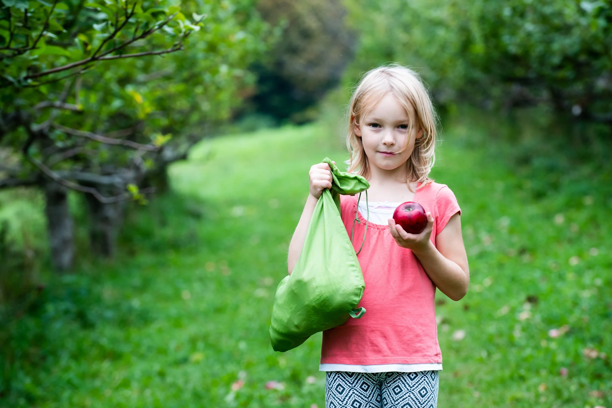 Pick Your Own | Experience Fresh Fruit - Visit Today — Scott Farm Orchard