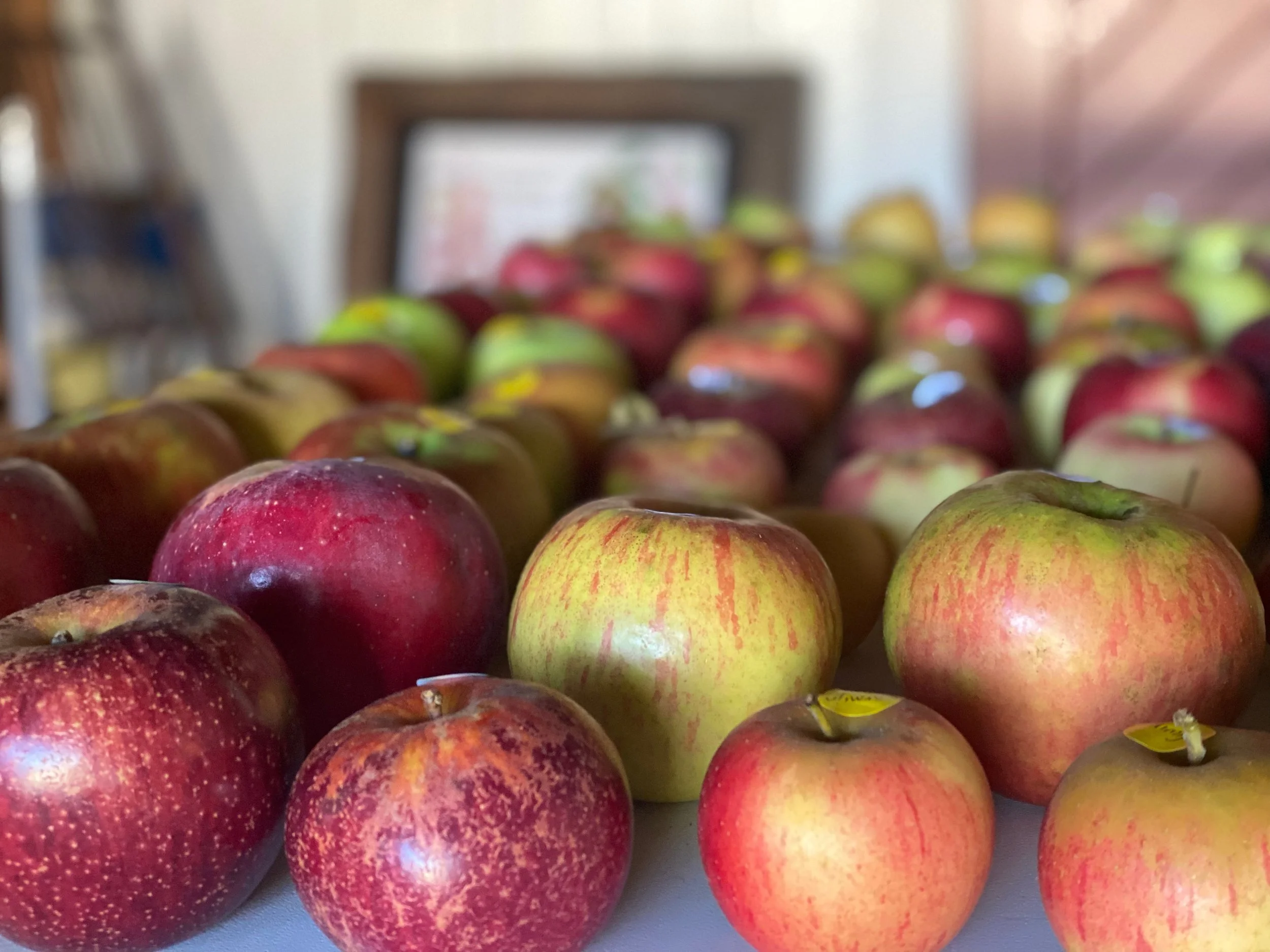 Group Tours — Scott Farm Orchard