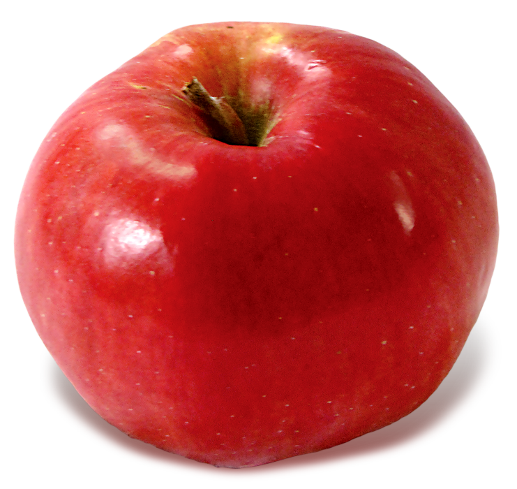 Northern Spy — Scott Farm Orchard