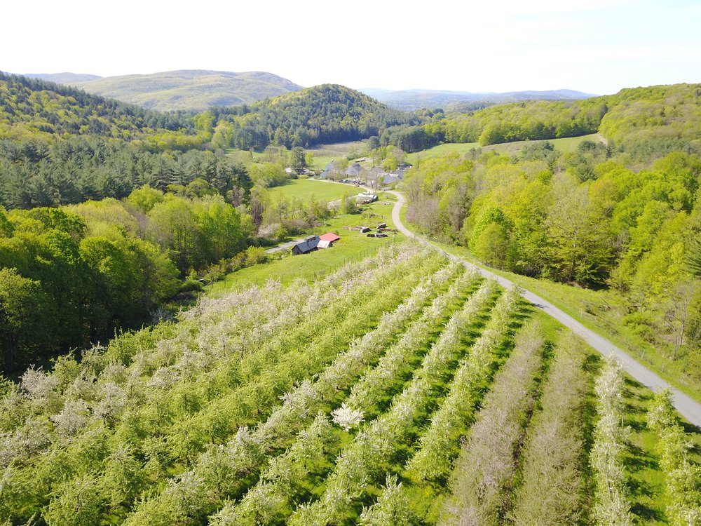 Scott Farm Orchard | Visit and Experience Today