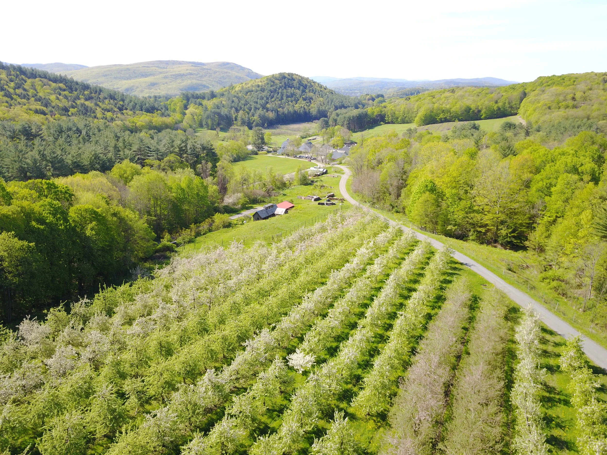 Scott Farm Orchard | Visit and Experience Today